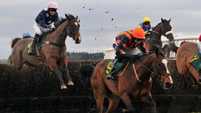 Florida Cracker Horse – Gallop to the Finish Line